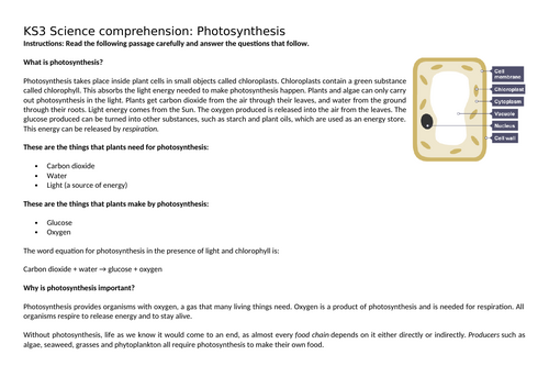 Year 8 Biology - Comprehension Bundle | Teaching Resources
