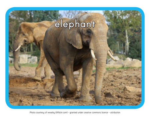 EYFS Outdoor Learning - The Tiger Who Came to Tea | Teaching Resources