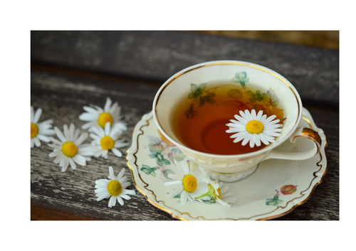 EYFS Outdoor Learning - The Tiger Who Came to Tea | Teaching Resources