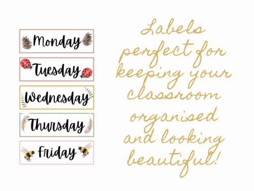 Editable Watercolour Tray Labels |Days of the Week, Subjects & Jobs ...