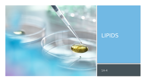 A.S. Biology Edexcel-1A-4 PPT- Lipids | Teaching Resources