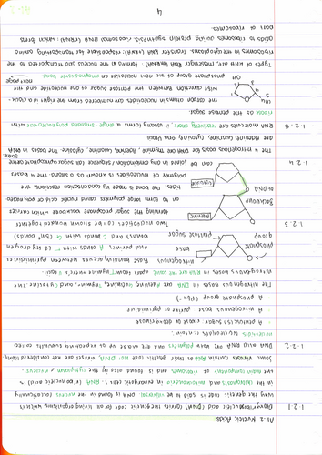 IB Biology A1.2 Nucleic Acids | Teaching Resources