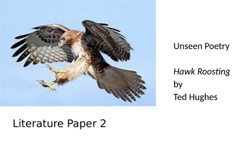 Unseen Poetry Practice - Ted Hughes 'Hawk Roosting.' | Teaching Resources