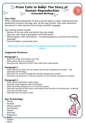 Extended Writing - The story of human reproduction | Teaching Resources
