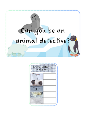 Arctic Animals - Detectives | Teaching Resources