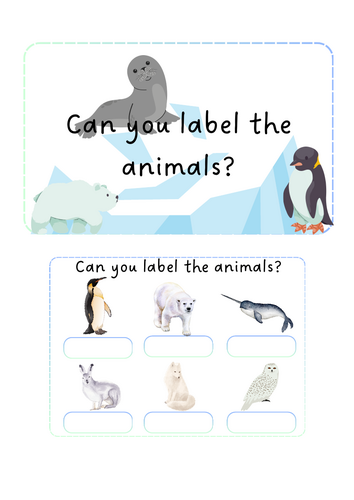 Arctic Animals Provision Bundle | Teaching Resources