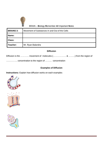 IGCSE Biology – Movement In and Out of Cells Resource Pack | Teaching ...