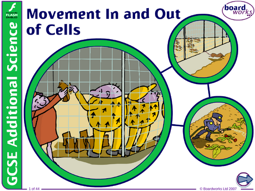 IGCSE Biology – Movement In and Out of Cells Resource Pack | Teaching ...