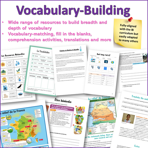 IB Ab Initio French Exam skills + Theme booklets | Teaching Resources