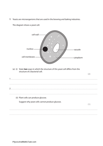 Edexcel - GCSE Biology: Plants and Animal Cells | Teaching Resources