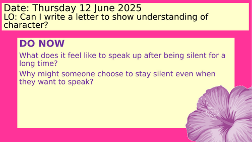 Purple Hibiscus - Full Scheme | Teaching Resources