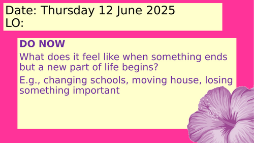 Purple Hibiscus - Full Scheme | Teaching Resources