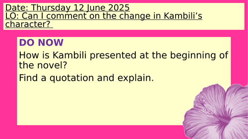 Purple Hibiscus - Full Scheme | Teaching Resources