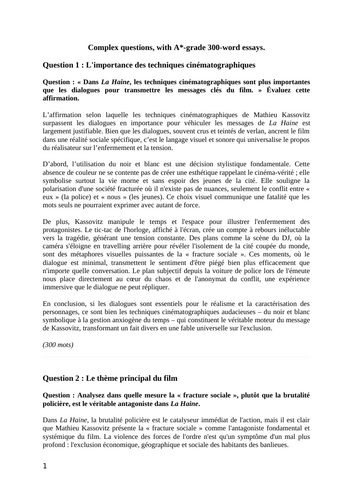 La Haine: 5 A* 300 word Essays for Complex Questions | Teaching Resources