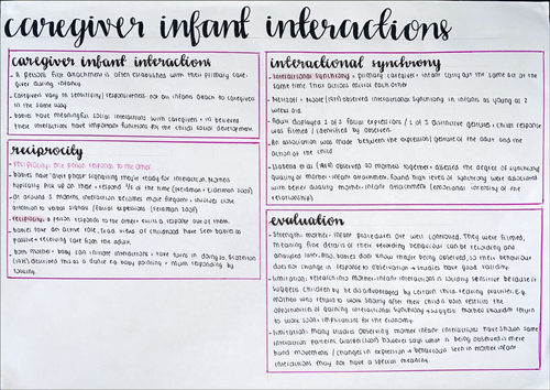 A-Level Psychology - ATTACHMENT - Caregiver-infant Interactions | Teaching Resources