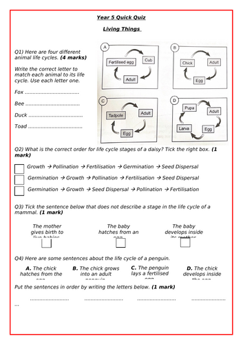 Science Y5 End of Unit Assessment Bundle | Teaching Resources