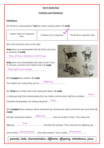 Science Y6 End of Unit Assessment Bundle | Teaching Resources