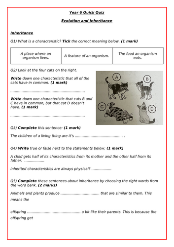 Science Y6 End of Unit Assessment Bundle | Teaching Resources