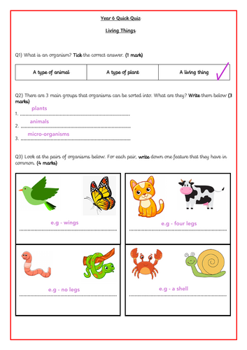 Science Y6 End of Unit Assessment Bundle | Teaching Resources