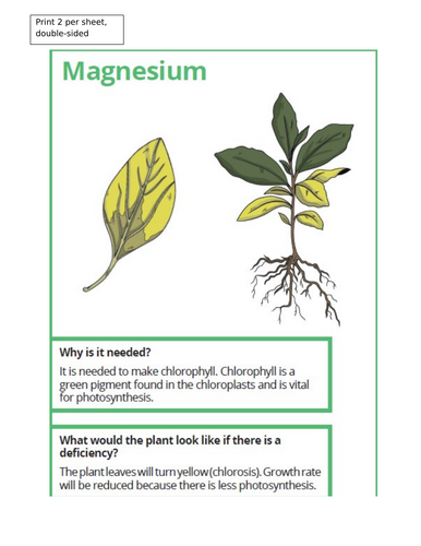 Plant minerals - Activate 2 - Lesson B2.4 - KS3 Science | Teaching ...