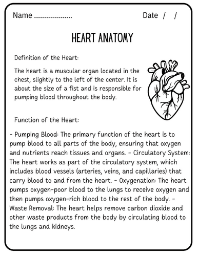 Heart and Circulation Biology Worksheet - Anatomy of the Heart ...