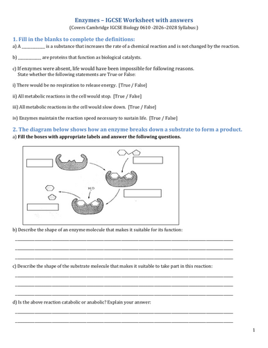 Enzymes -IGCSE Biology WS & answers | Teaching Resources