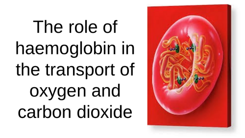 Haemoglobin and Oxygen Dissociation Curves IAL Biology Edexcel ...