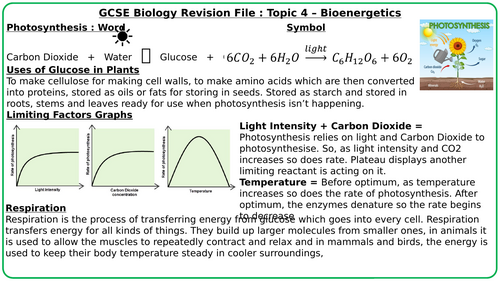 GCSE Biology - Bioenergetics Knowledge Organiser | Teaching Resources