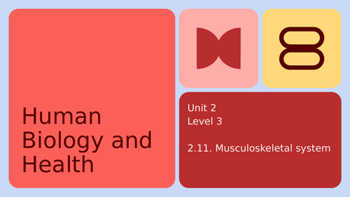 AAQ Level 3 Health and Social Care- Unit 2 Human Biology- Section B ...