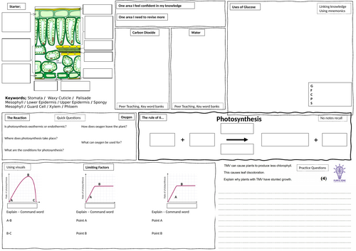 Photosynthesis Revision Lesson + A3 Mat | Teaching Resources