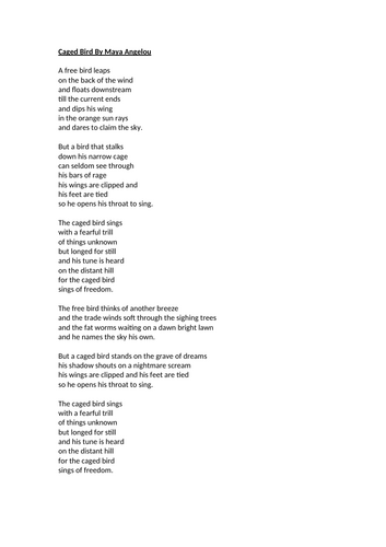 Introduction to Poetry - Social Justice Poetry | Teaching Resources