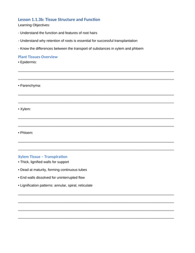 OCR AAQ F180 Biology B1.1 Lesson 3 Tissue Structure and Function | Teaching Resources