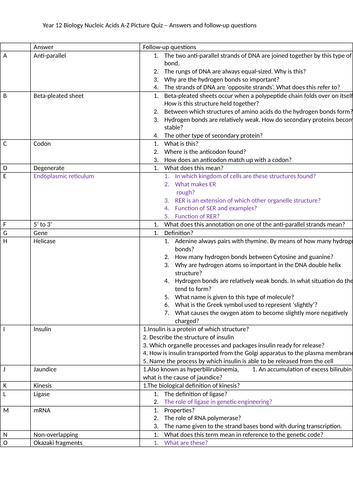 A level Biology - Nucleic Acids Quiz and revision sheet | Teaching ...