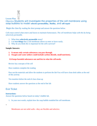 Cell Membrane Lab: Modeling Selective Permeability with Bubbles ...