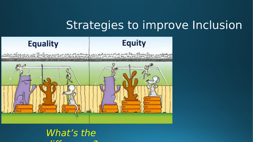 Strategies to Improve Inclusion (any subject) | Teaching Resources