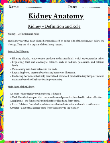 Kidney Anatomy/Word search/Label /Coloring page/Biology worksheet ...