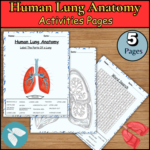 Human lung anatomy/Word search/Label /Coloring page/Lung parts ...
