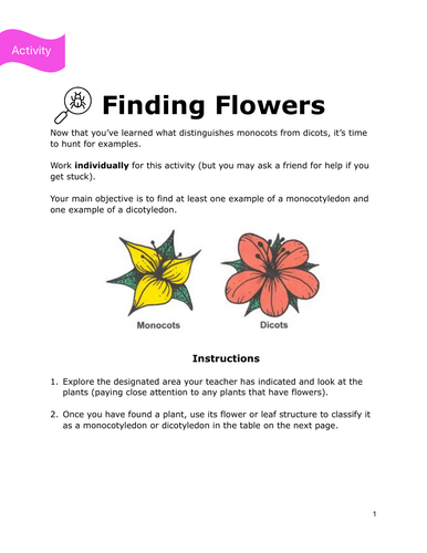 IGCSE Biology - Topic 1: Characteristics & Classification (Lessons ...