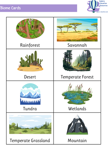 Weather, Climate and Biomes - Outstanding KS2 Geography Lesson ...