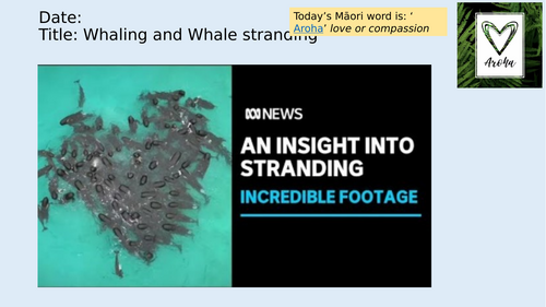 The Whale Rider FULL Scheme of work for KS3 | Teaching Resources