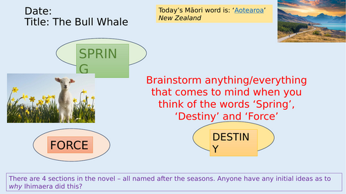 The Whale Rider FULL Scheme of work for KS3 | Teaching Resources