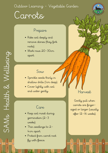 Outdoor Learning - Vegetable Garden | Teaching Resources