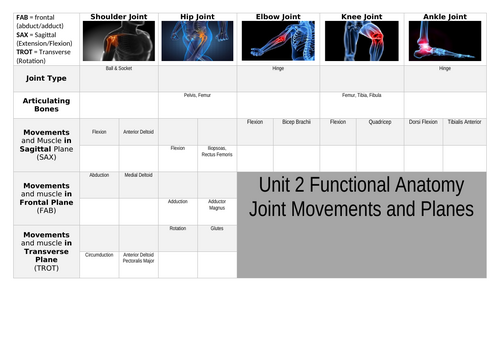 Unit 2 Functional Anatomy Full Resources (BTEC Sport Science 2016 ...