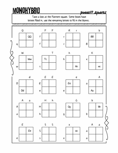 grade 6 - 8 FREE Genetics Punnett Square puzzle, worksheet, activity ...