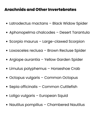 100 scientific names of animals | Teaching Resources