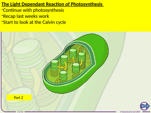 AQA A-Level Biology - Light Dependent & Independent Reaction 2x ...