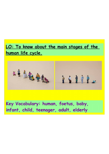 The Human Life Cycle - KS2 Science Lesson | Teaching Resources