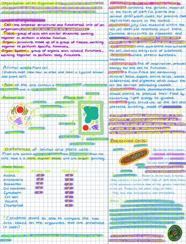 Levels of organization IGCSE | Teaching Resources