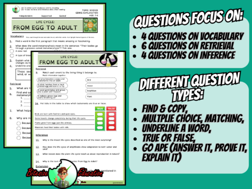 From Egg to Adult | Reading Comprehension | Year 5/6 | Teaching Resources