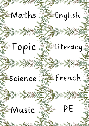 Daily Timetable Cards – Nature-Themed Visual Schedule | Teaching Resources